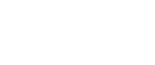 Information Security Guide